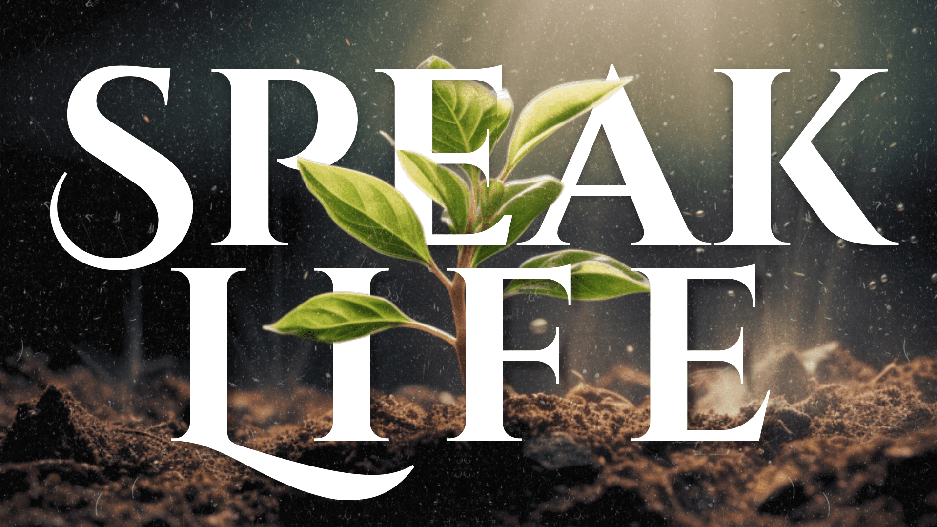 Speak Life | Community Life Church