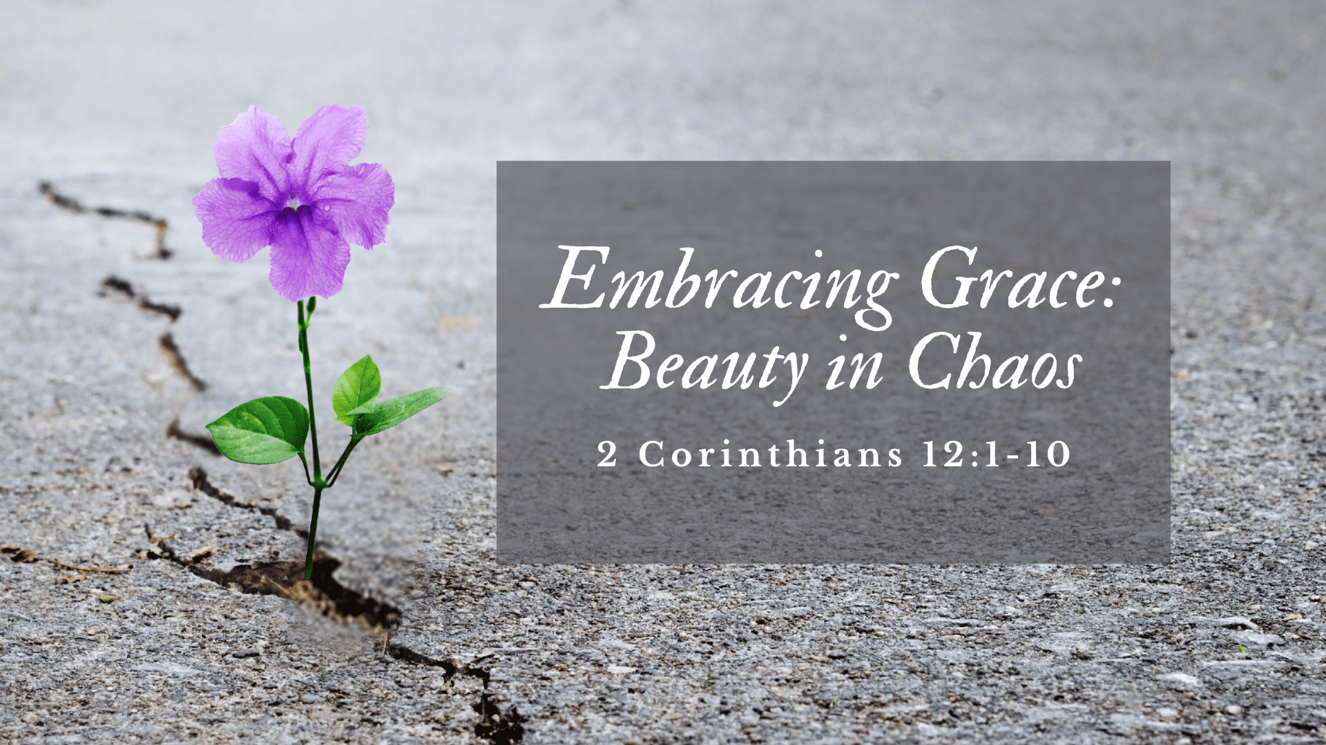 Mother's Day 2024 ... Embracing Grace Beauty in Chaos | Community Life ...